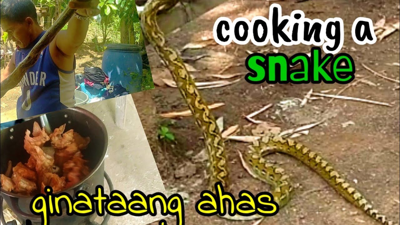 EXOTIC RECIPE (ginataang ahas) | BIYAHE NI AYIE - YouTube