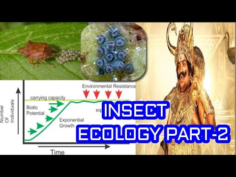 Insect ecology part 2 (Biotic potential & Environmental resistance ...