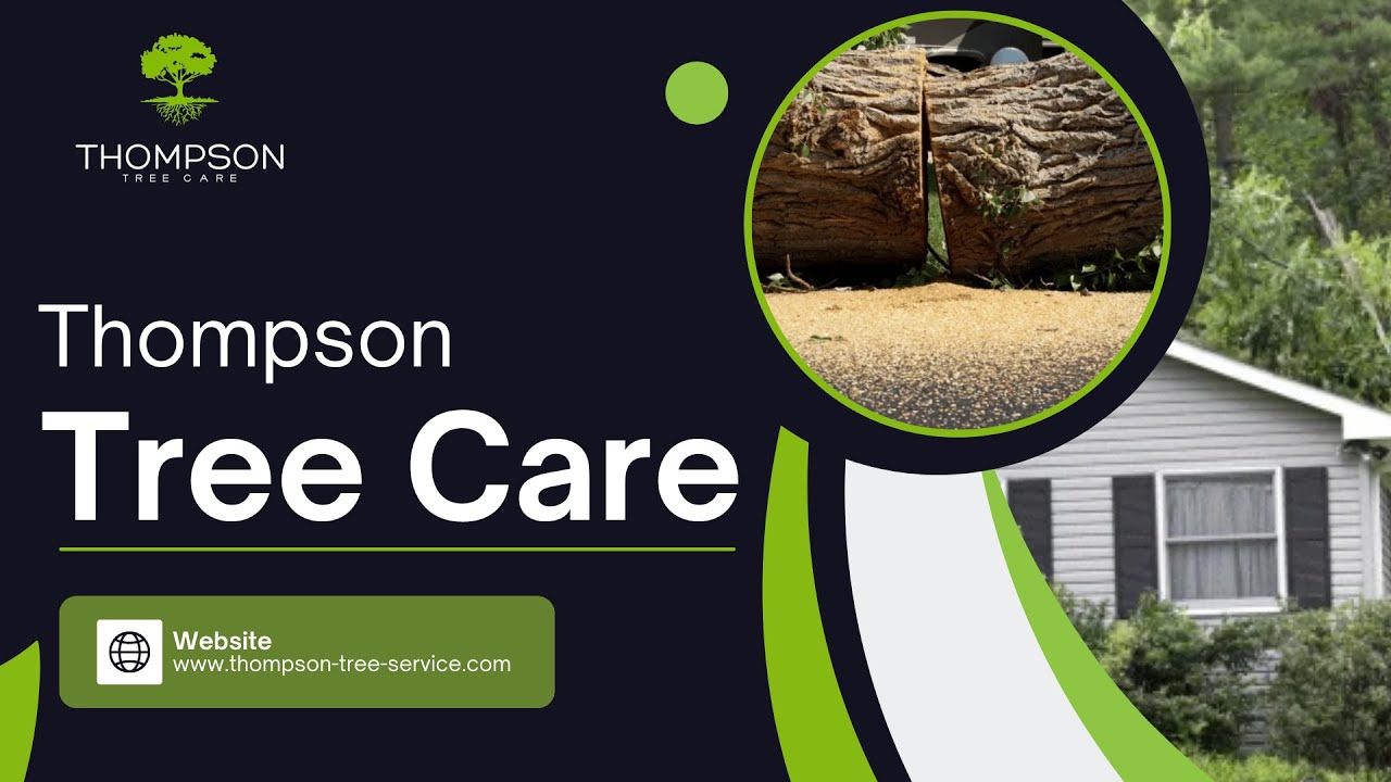 Thompson Tree Care - Tree Service Lovington, IL | Tree Service Near Me ...