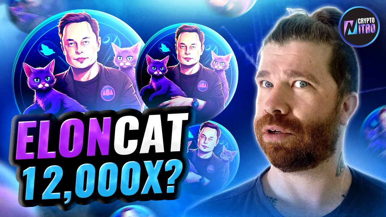 BEST PROJECT OF THE CENTURY! 🔥 Elon Cat 🔥 PROFIT FOR ALL! 🔥 - YouTube