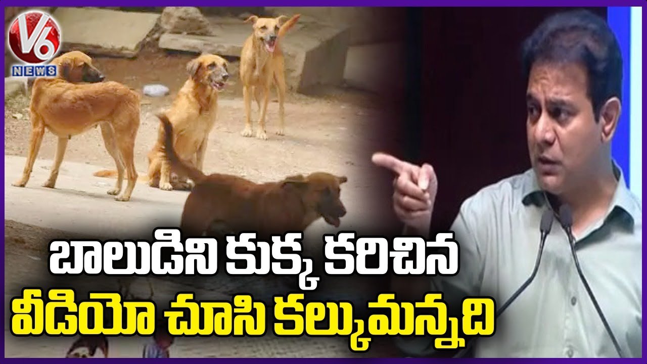 Minister KTR Emotional Words About Street Dog Bites Boy Incident | V6 ...