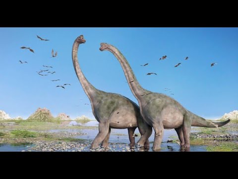 Brachiosaurus Sound | Dinosaurs Sound effects | MP SOUNDS. - YouTube
