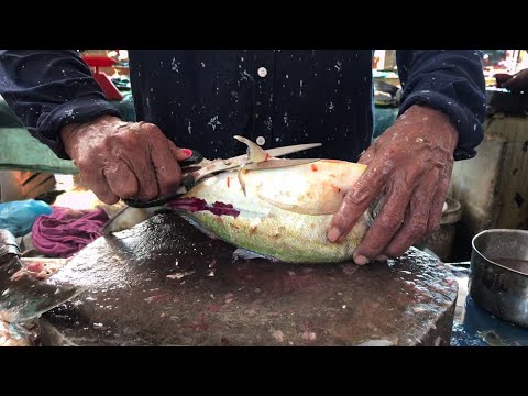 Amazing Fish Cutting Skills. Trevally Fish Slaughter in Asian Fish ...