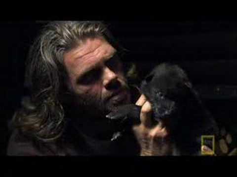 Shaun Ellis, A Man Among Wolves - YouTube