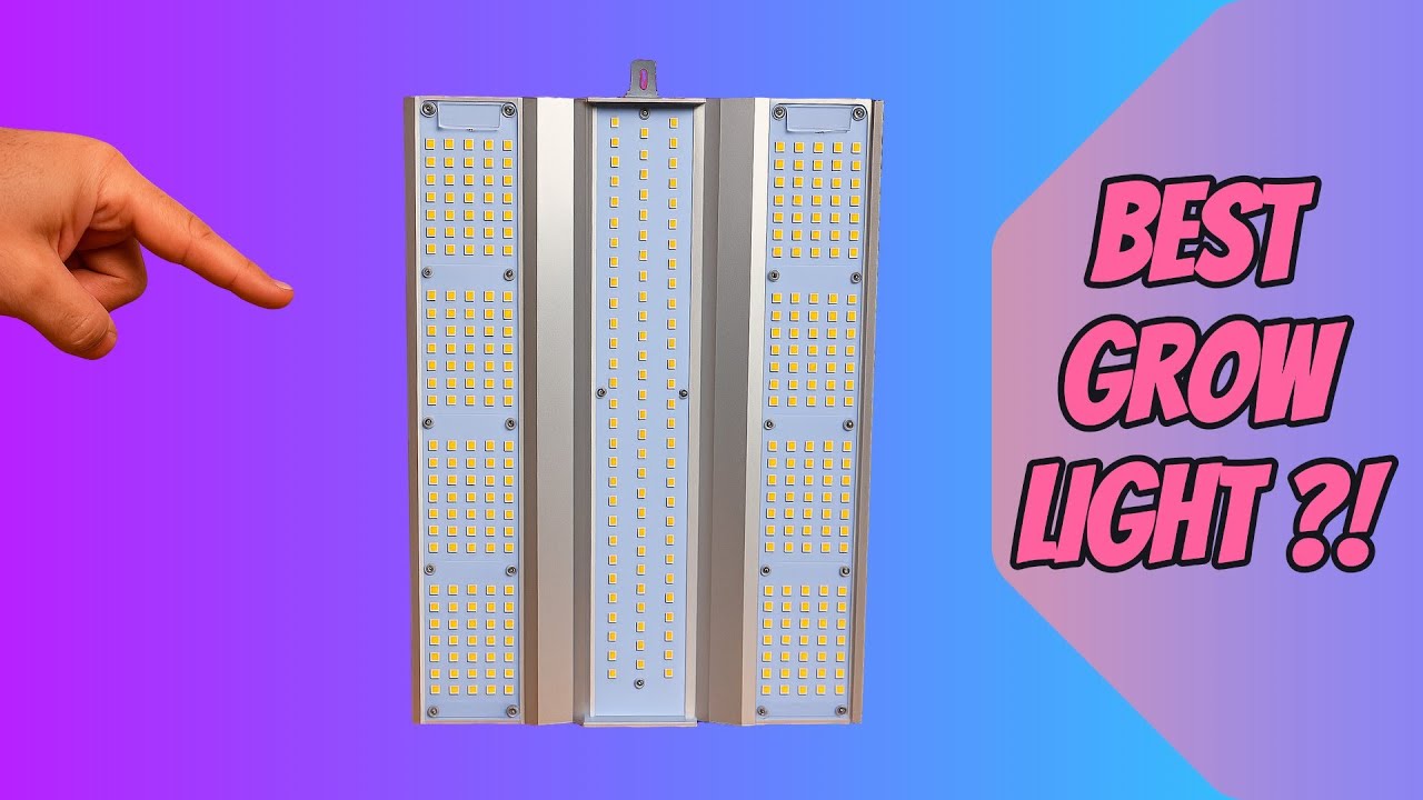 Best Budget LED Grow Lights 2025 | VIPARSPECTRA XS1500 Pro vs XS3000 ...