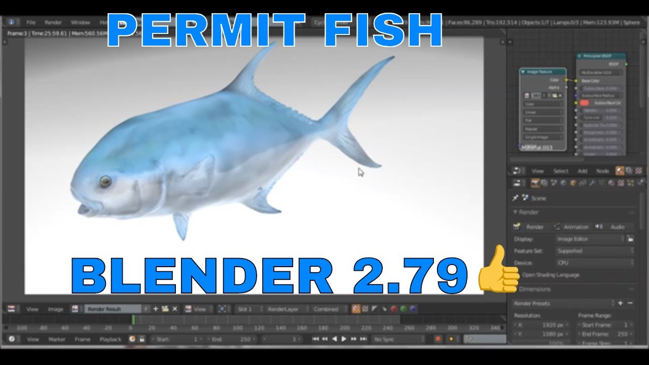 PERMIT FISH MODELING SCULPING AND TEXTURING IN BLENDER - YouTube