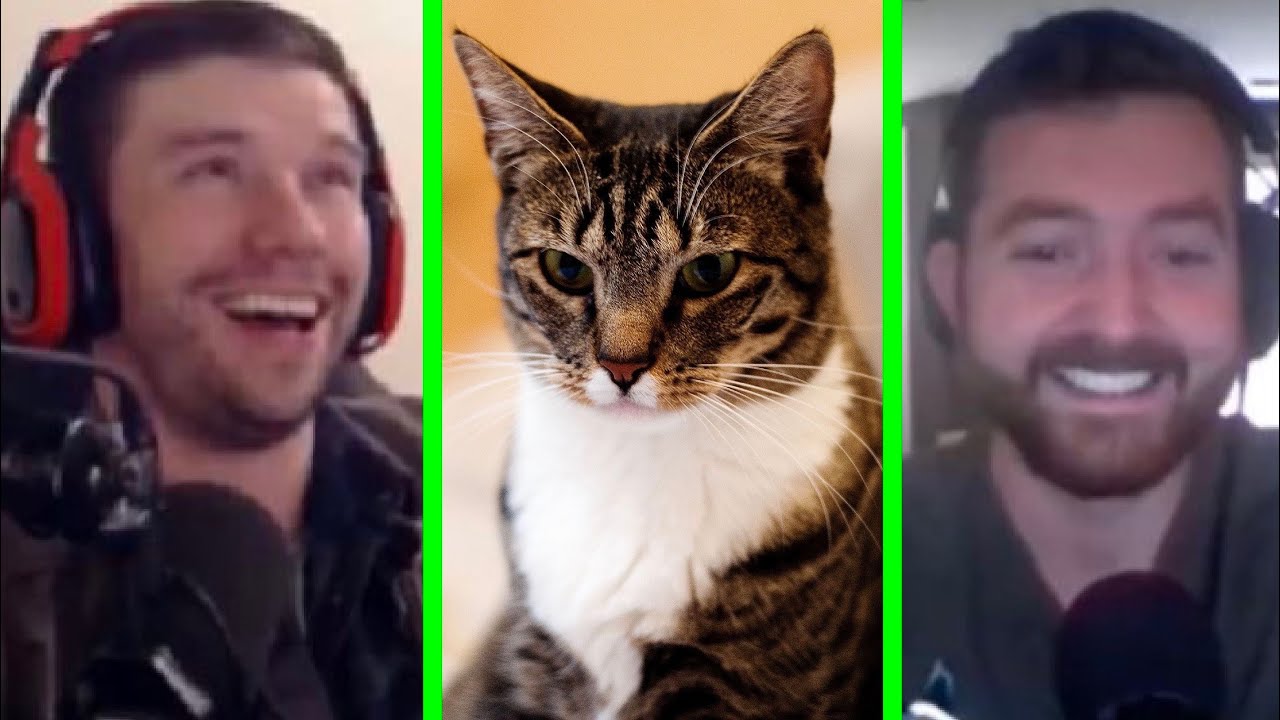 The WORST Animals to Keep as Pets | PKA - YouTube