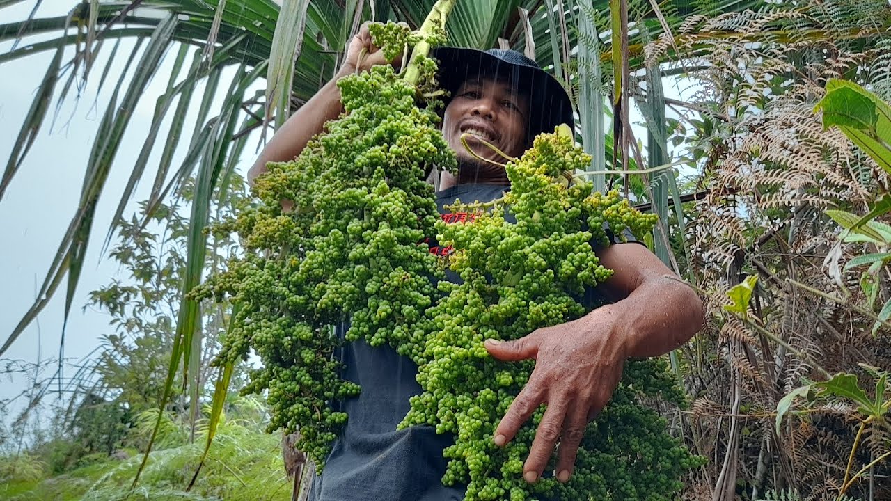 Romblon fruit juice making #survivalfoods #organicfoods - YouTube