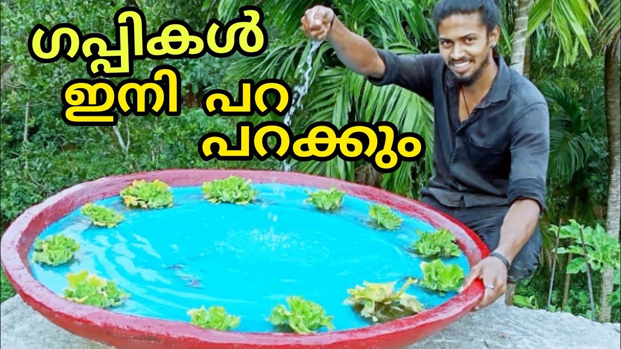 how to make a cement fish tank🐟 ഈസി ആയി ഇനി നിങ്ങൾക്കും മീൻകുളം നി ...