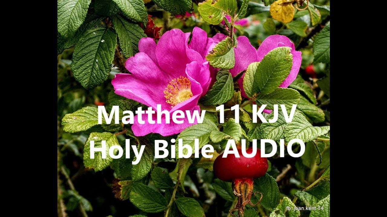 Matthew 11 KJV Holy Bible AUDIO Jesus invites the heavy laden. - YouTube