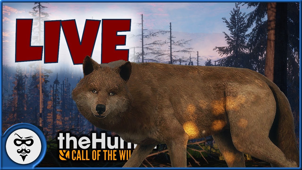 Yukon Valley - Another Shot At Gray Wolves | theHunter Call of the Wild ...