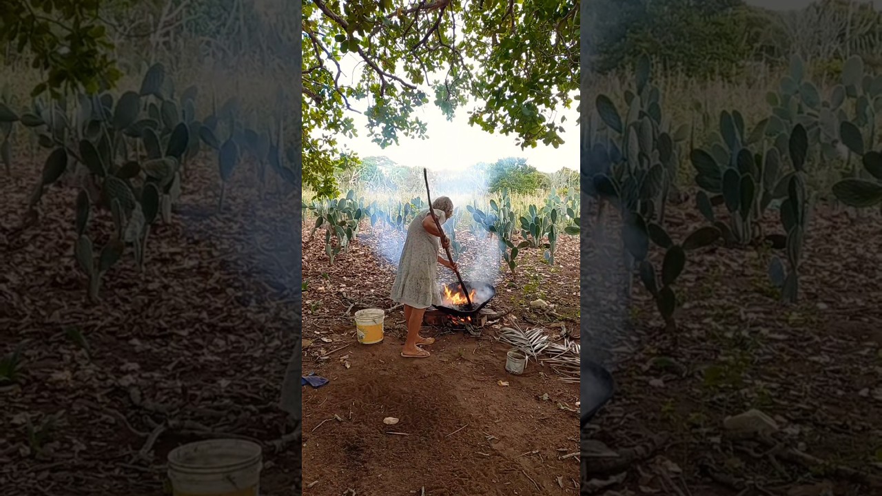 Dona Lita assando castanha #roça - YouTube
