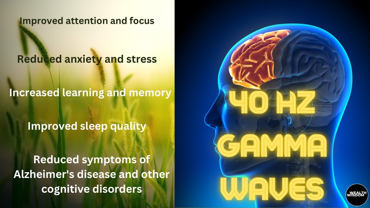 40 Hz Gamma waves (Pure) - YouTube