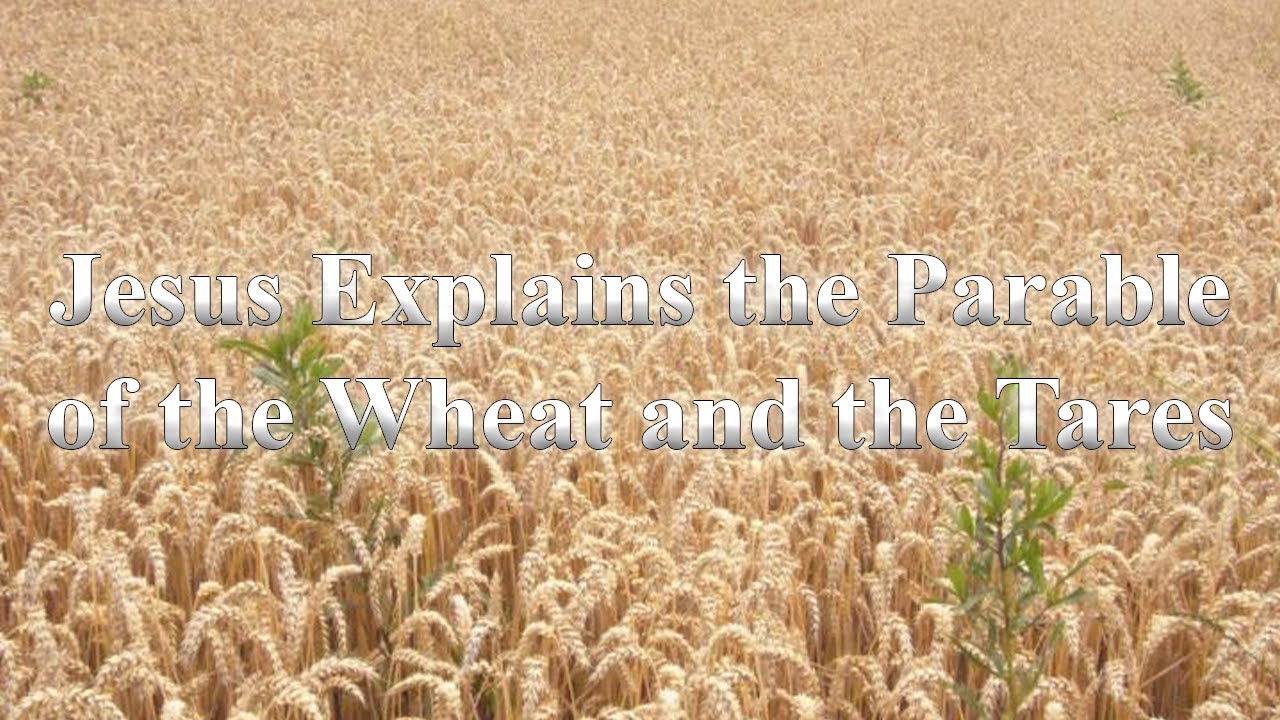 Jesus Explains the Parable of the Wheat and the Tares - YouTube
