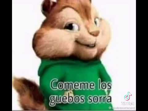 teodoro meme - YouTube