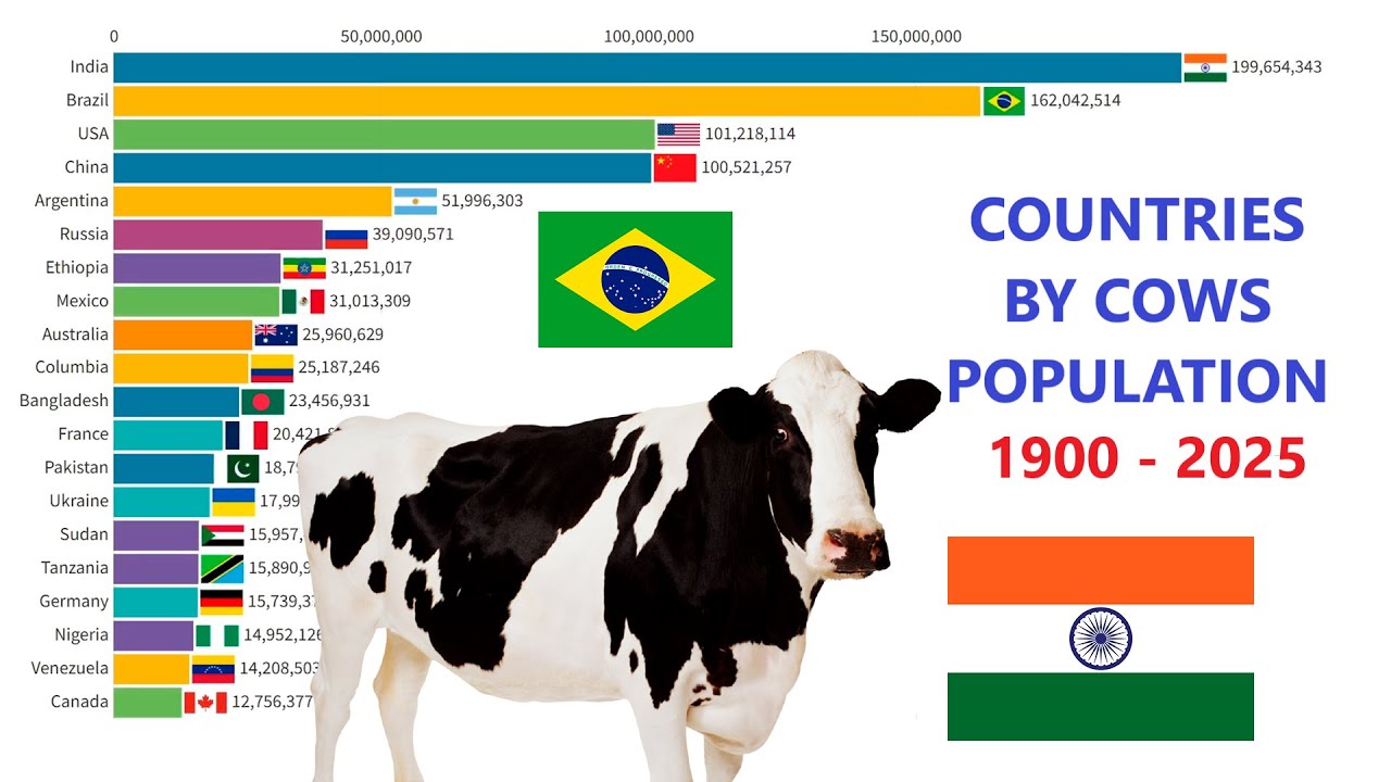 Cattle Population in the World 1900 - 2025 - YouTube