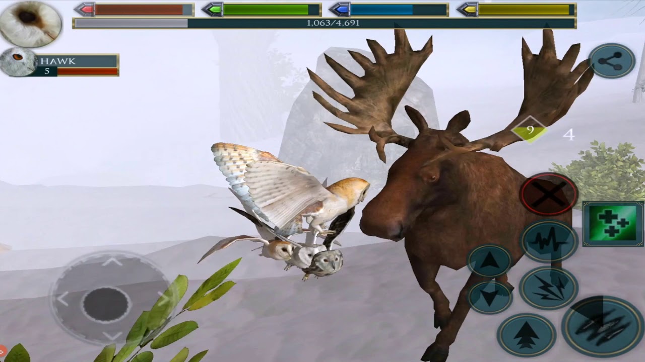 Owl Simulator, Ultimate Bird Simulator - By Gluten Free games - YouTube