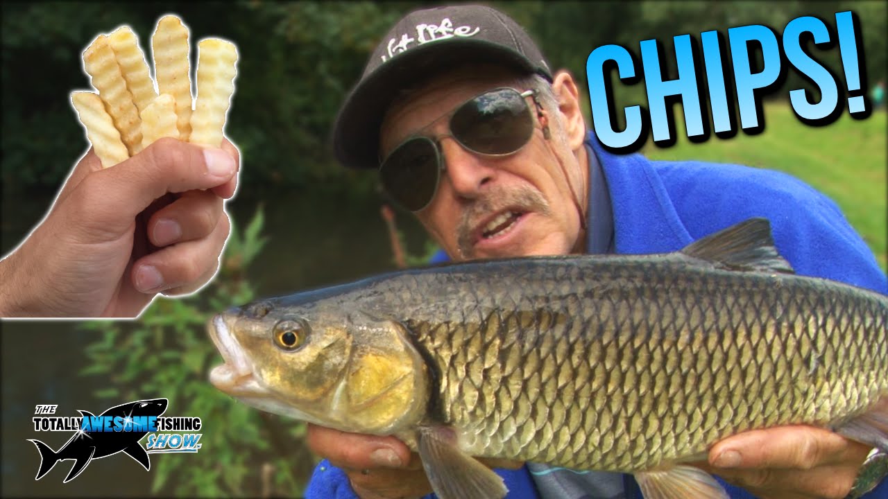 Epic Fishing with CHIPS! | TAFishing - YouTube