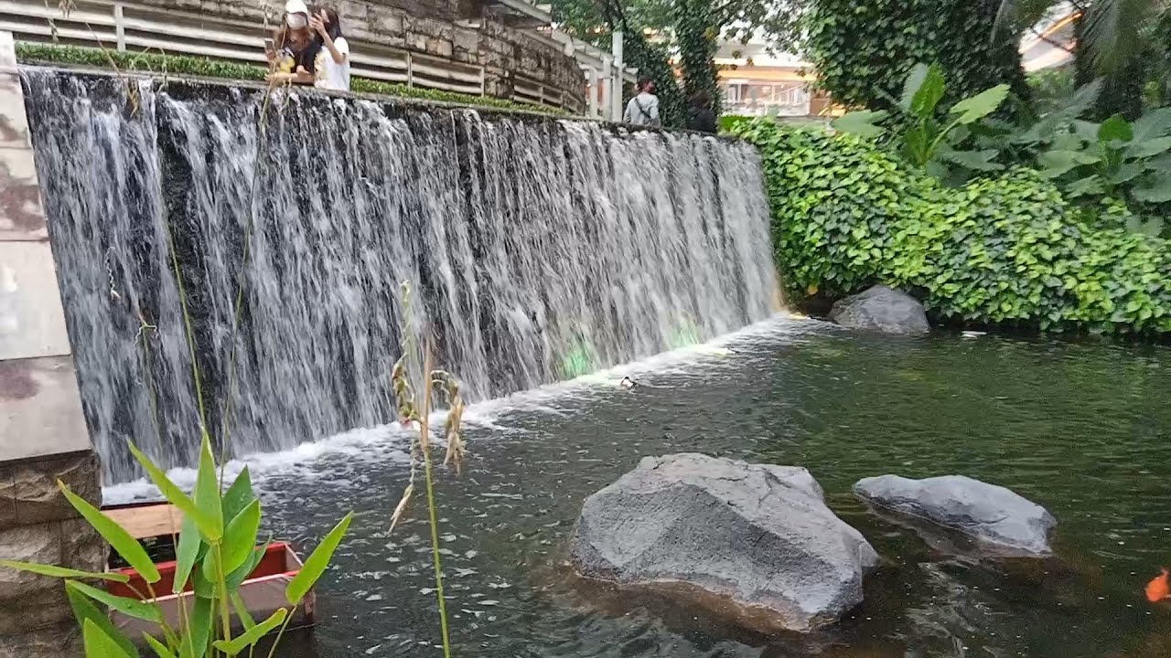 Taman anggrek || Tribeca park - YouTube