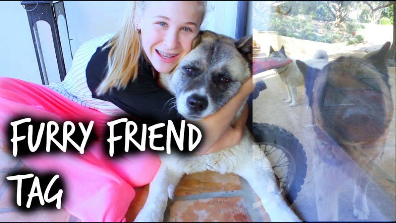 Furry Friend Tag! - YouTube