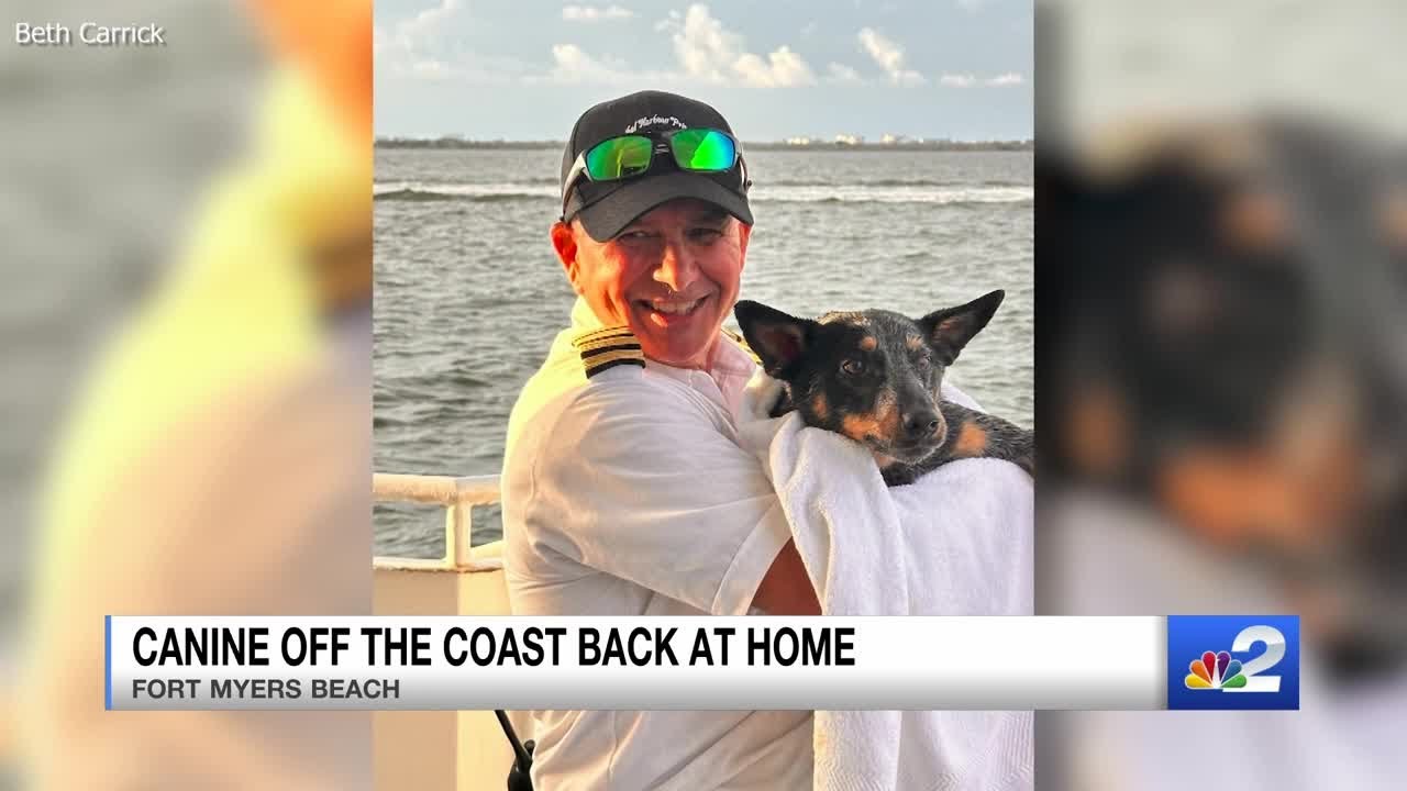 Dog returns home after boat captain rescues her off Fort Myers Beach ...