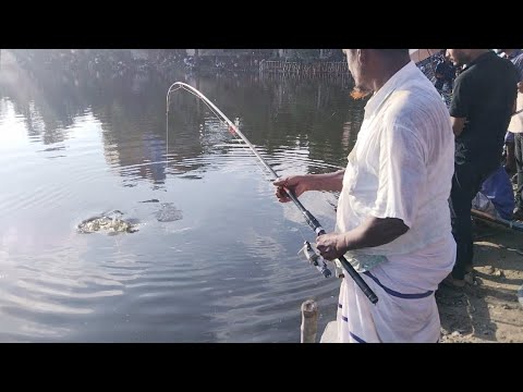 amazing fishing video by Big mirga Fish hunting video || best fishing ...