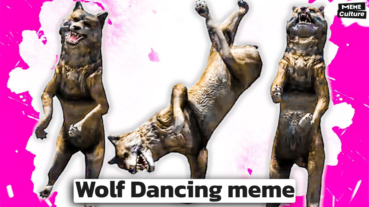Wolf Dancing meme. What? - YouTube