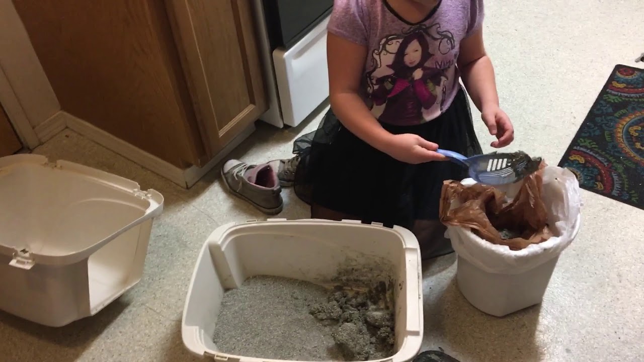 Grandpa Icky Kitty Kitty Ewe Ewe - YouTube