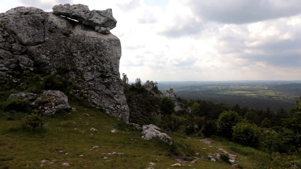 Rezerwat przyrody Góra Zborów maj 2020, Zborów Mountain Nature Reserve ...