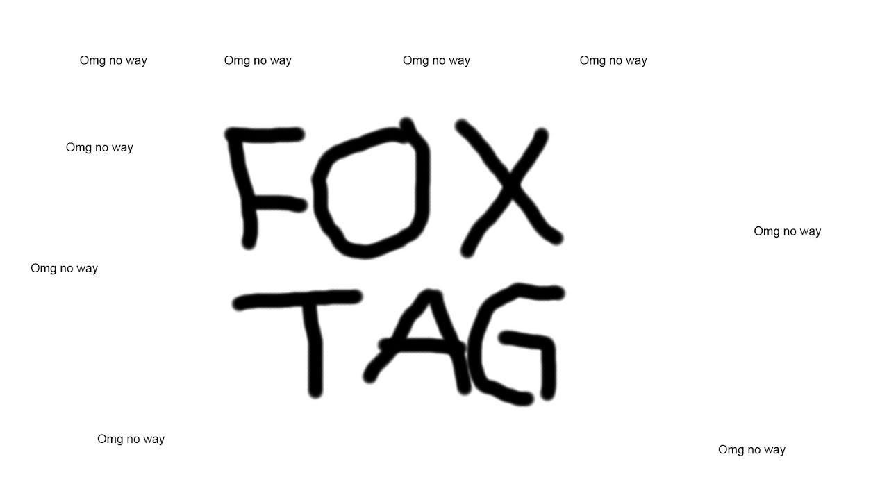 Working on FoxTag - YouTube