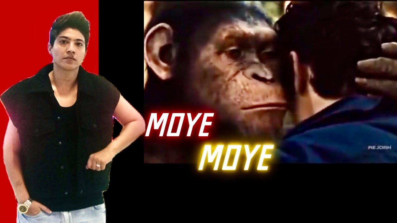 MOYE MOYE TRENDING VIDEO REACTION | MOYE MOYE FUNNY ROAST | - YouTube