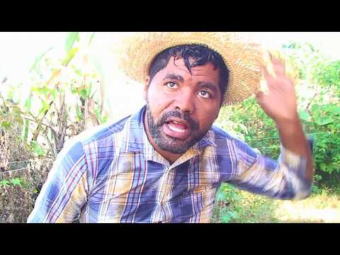 Comédia.expulsando o caipira com um balde de agua,, o chavéco do caipira.rsrsrs.. pra morrer de rir