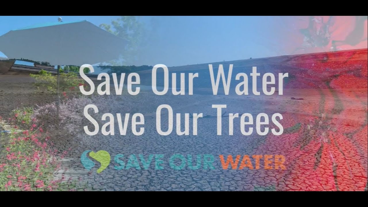 Save Water While Saving Our Trees - YouTube