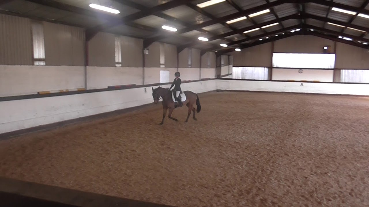 Katy Rothwell & Milly Croft End Equestrian Centre RS UK wtca13567 - YouTube