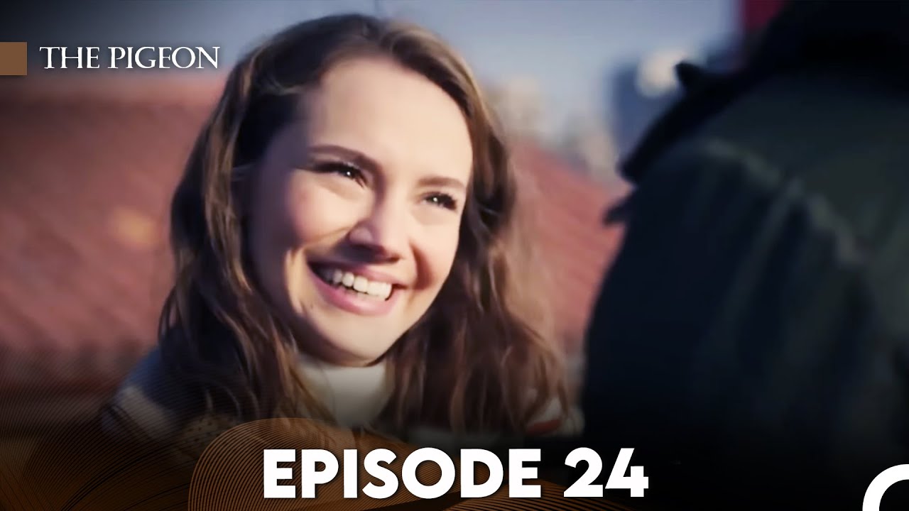 The Pigeon Episode 24 (FULL HD) - YouTube