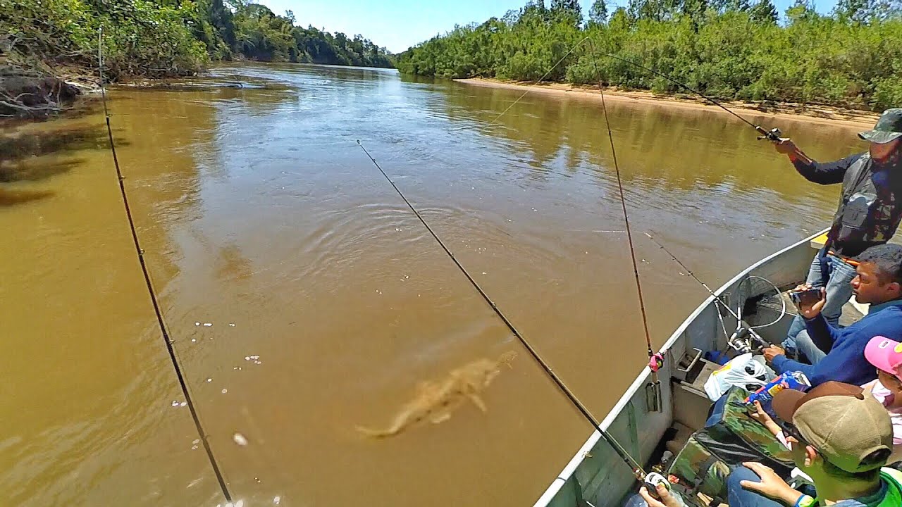 NÃO DA TEMPO DE COLOCAR A VARA NO DESCANSO. Pescaria Rio Aquidauana ...