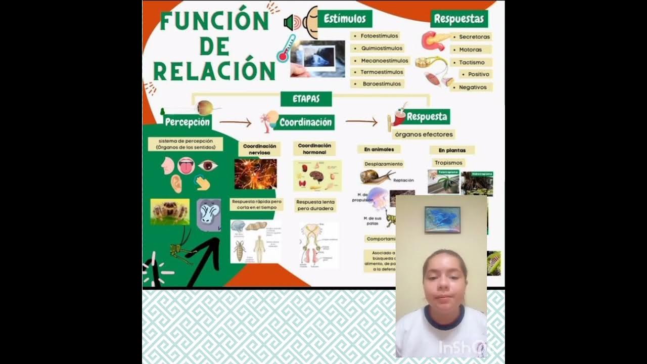 la cordinación y relación de los seres vivos - YouTube