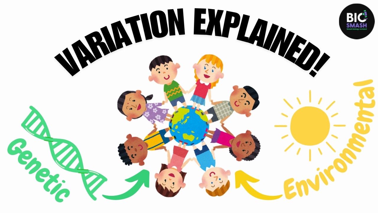 Improve your grades: Variation Explained Simply! | GCSE Biology ...