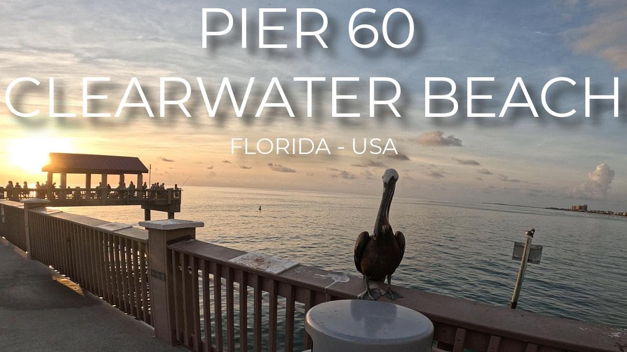 🌅 Clearwater Beach Sunset at Iconic Pier 60: A Fascinating Florida ...