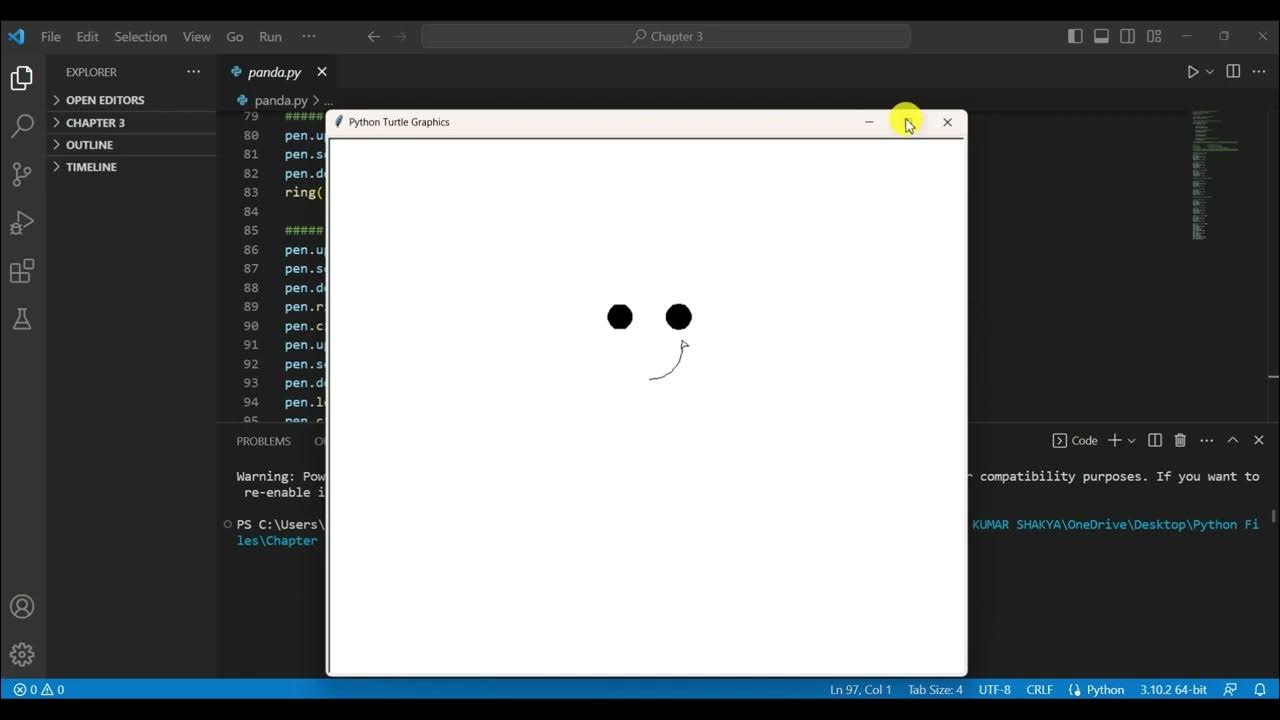 Panda Graphics Using Python Turtle Graphics Vs Code Python Pythonprogramming Turtle