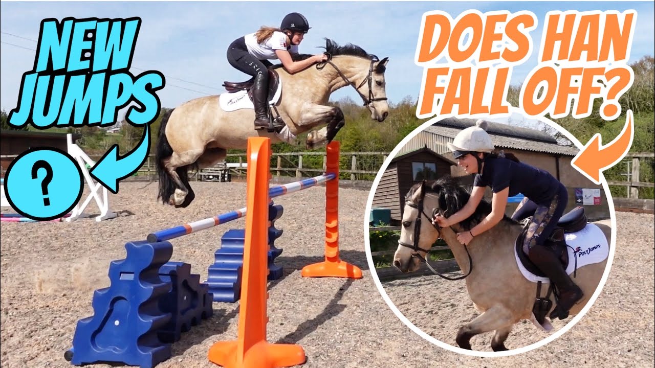NEW *spooky* JUMPS & MY FRIEND RIDES MY PONY ~ Showjumping barn vlog ...