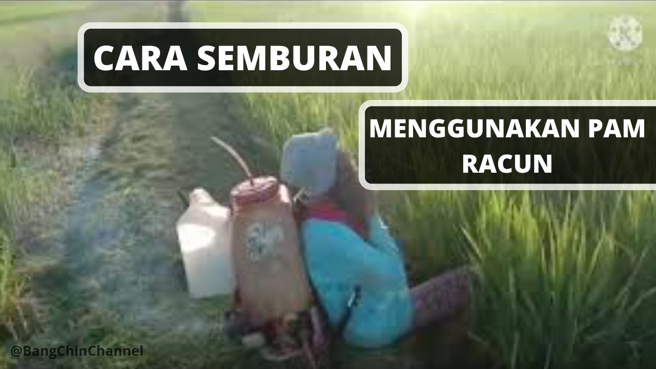 Sembang Bang Chin|Cara Semburan Menggunkan Pam Racun| - YouTube
