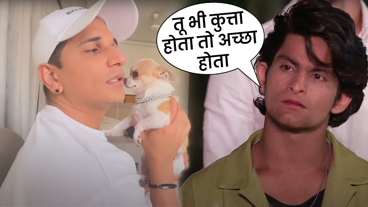 Roadies Contestant Sachin Saying Dog To Prince Narula in Instagram Live ...