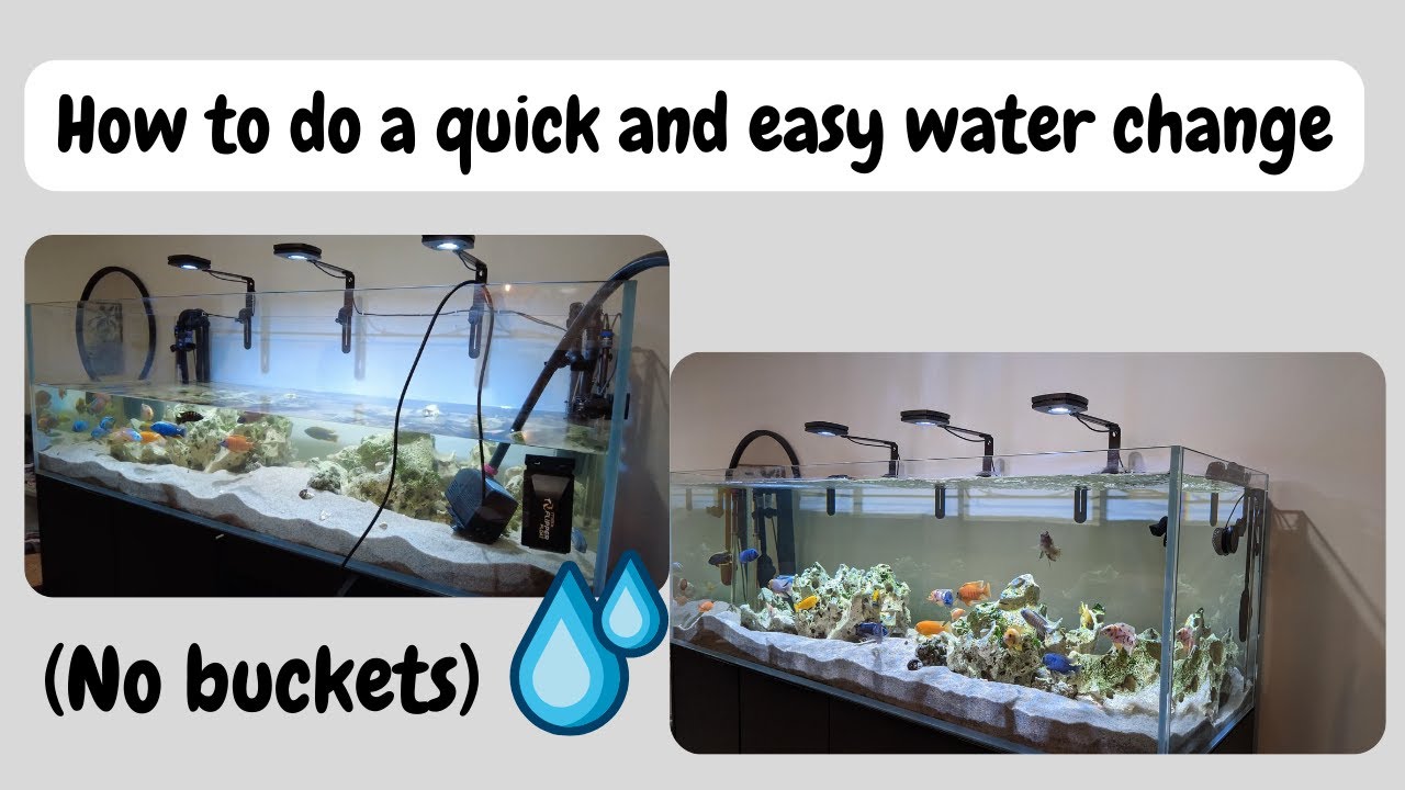 How to do a quick and easy water change on a big fish tank - YouTube