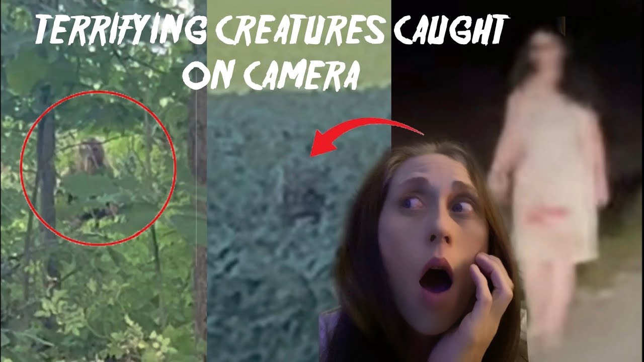 SCARY DASHCAM, CORNFIELDS and FOREST CREATURES - YouTube