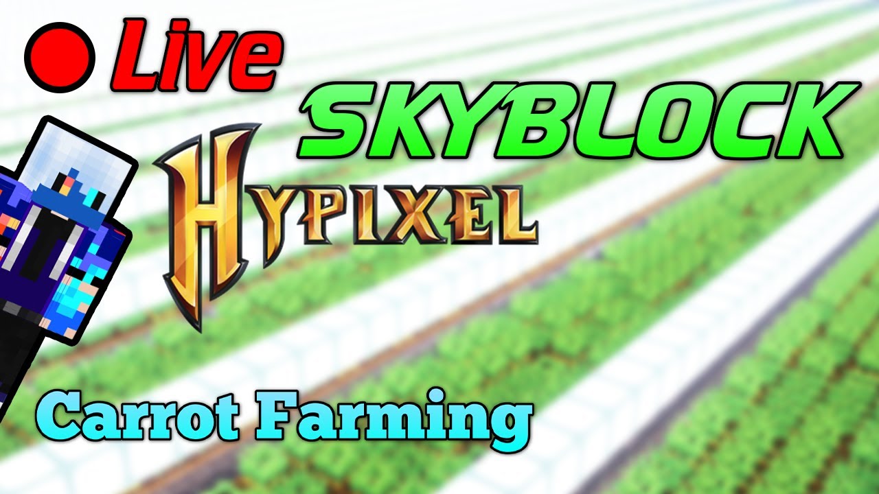More Carrot Farming - Minecraft Hypixel Skyblock Relaxing Live Stream ...