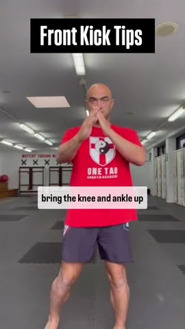 The front kick aka medium heel kick is a useful direct and simple self ...