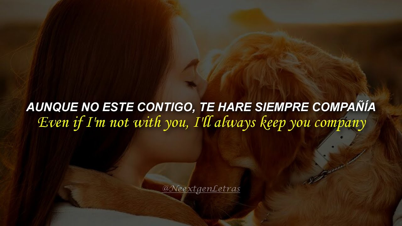 Tu Eres Mi Amigo🐕 - The Pegasus Max [LETRA] Acordes - Chordify