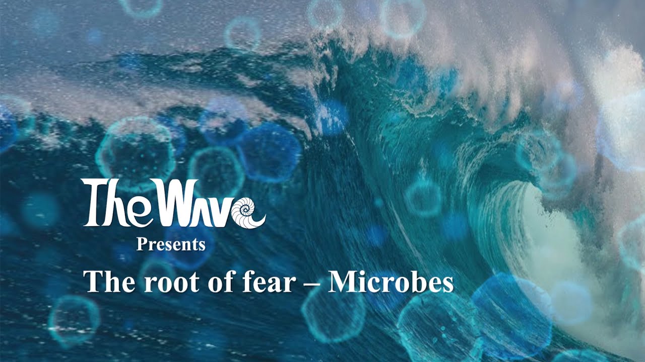 The root of fear - Microbes - YouTube