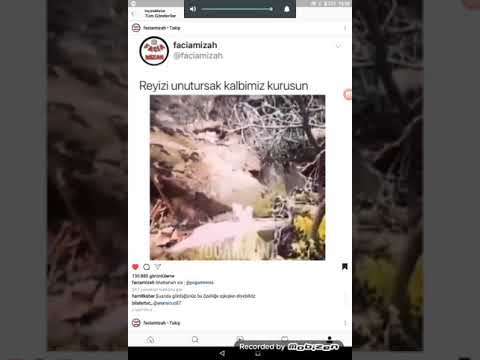 Dayı ne diyon ya👏